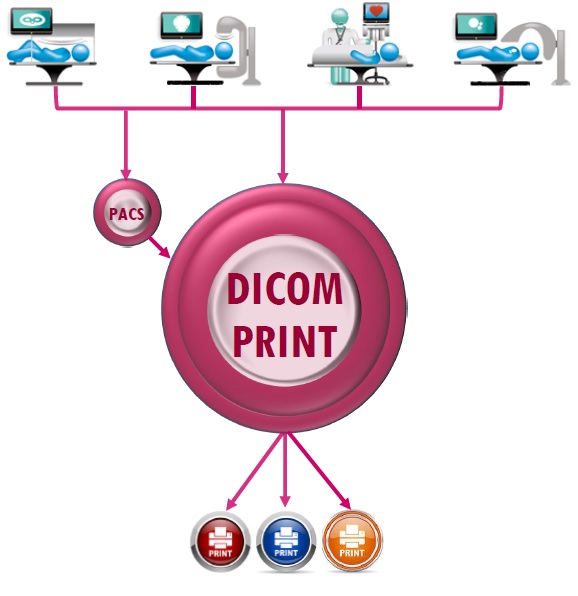 Untitled [portal.wsoft.pt]